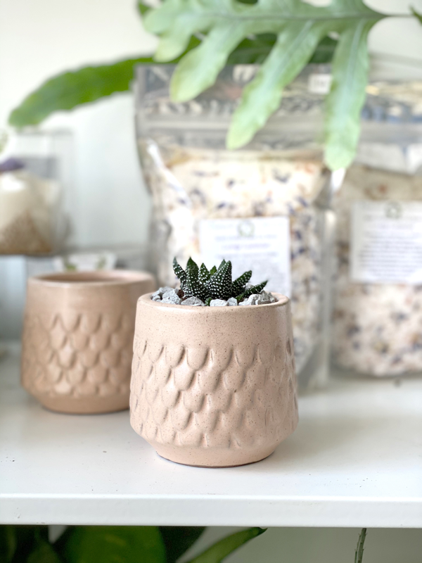 Pink Mermaid – Fern Shop Toronto